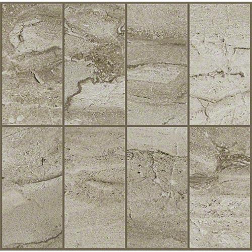 Shaw Industries Riviera 4x8 Element (00700_CS27P)