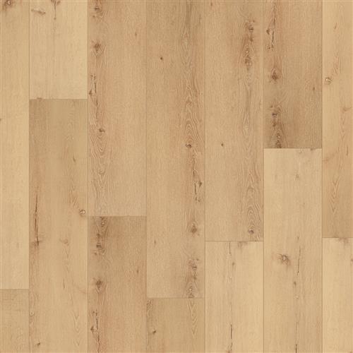 COREtec COREtec Pro Plus XL Enhanced Cairo Oak (VV491-02956)